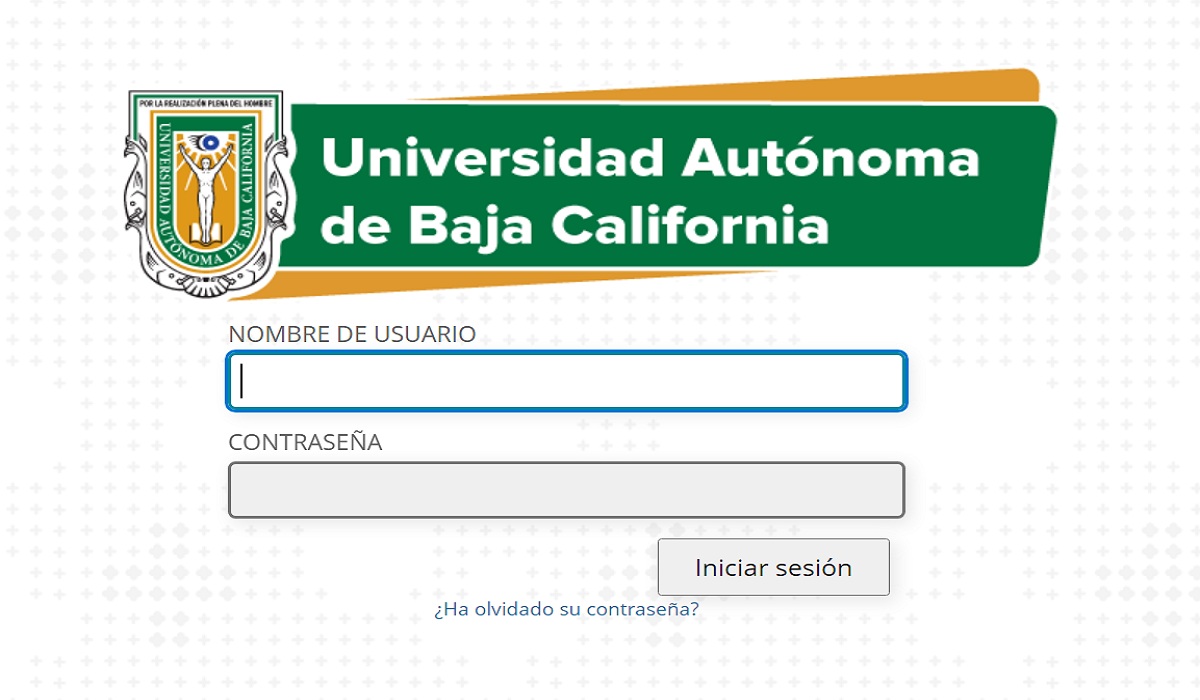 Blackboard UABC: aprende a ingresar y aprovechar sus recursos